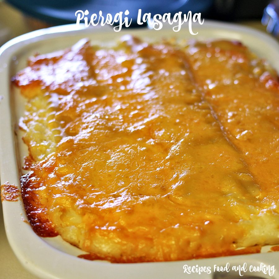 Pierogi Lasagna