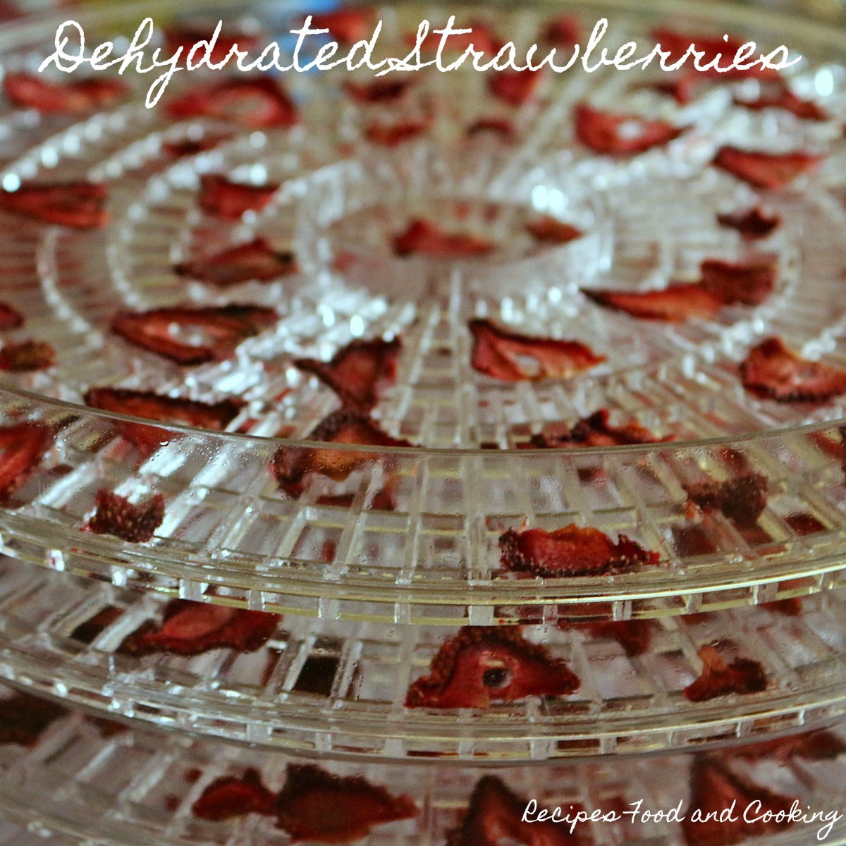 dehydrated-strawberries-1f - Recipes Food and Cooking