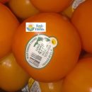 Fresh From Florida Tomatoes - Recipes Food and Cooking