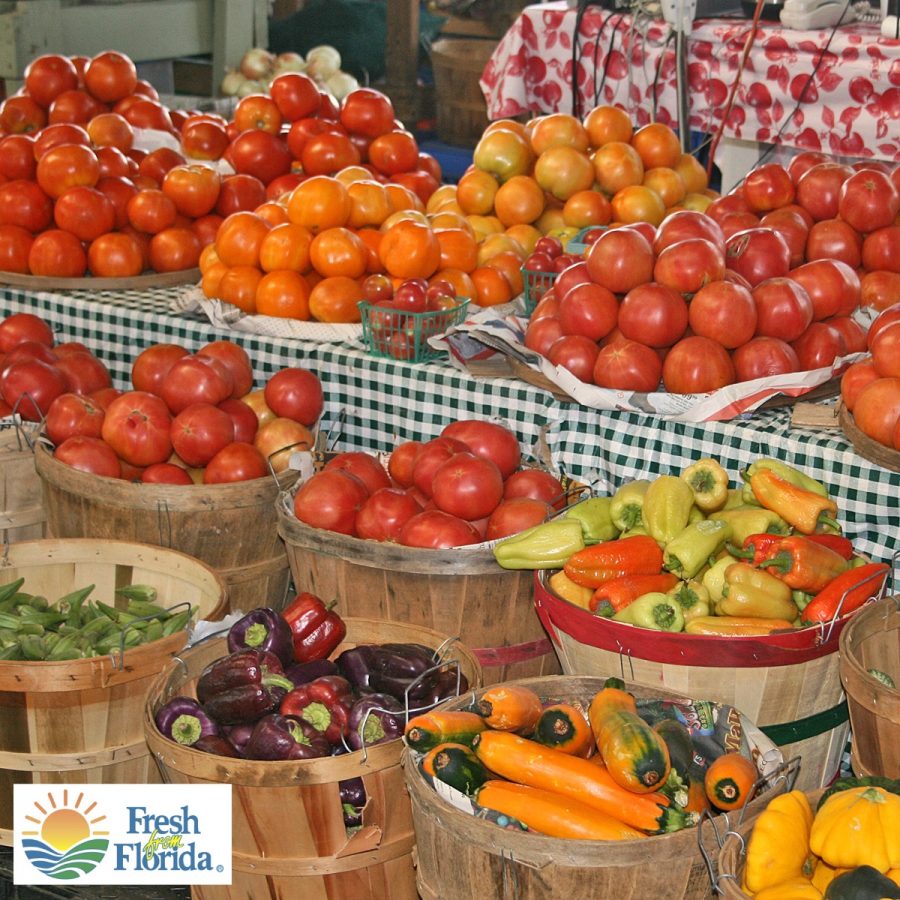 Fresh From Florida Tomatoes - Recipes Food and Cooking