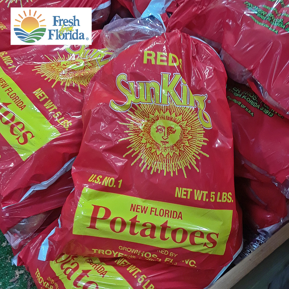 fresh-from-florida-1 - Recipes Food and Cooking